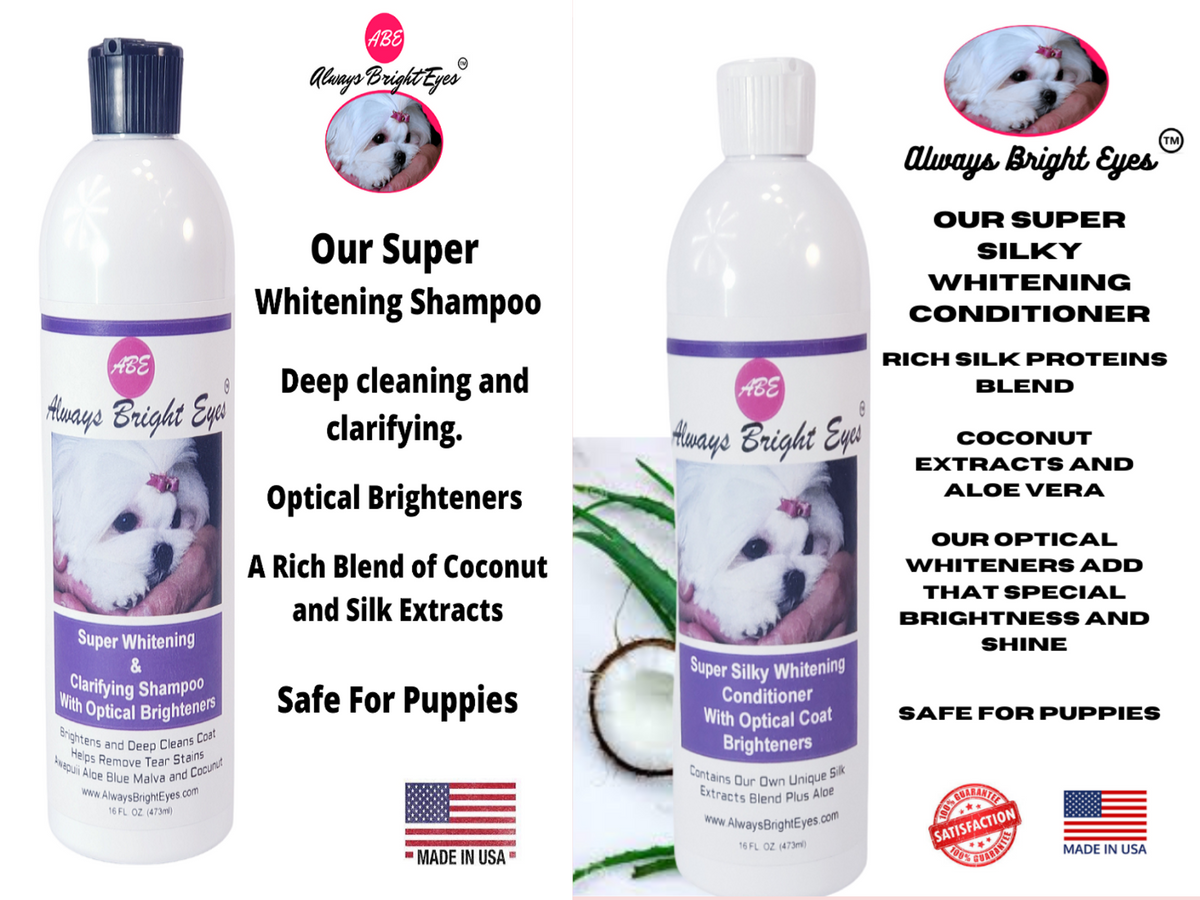 Shampoo and Conditioner Together – Always Bright Eyes
